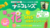Gakken、AI図鑑アプリ「ナニコレンズ」で「春の花 投稿キャンペーン」開催 | ICT教育ニュース